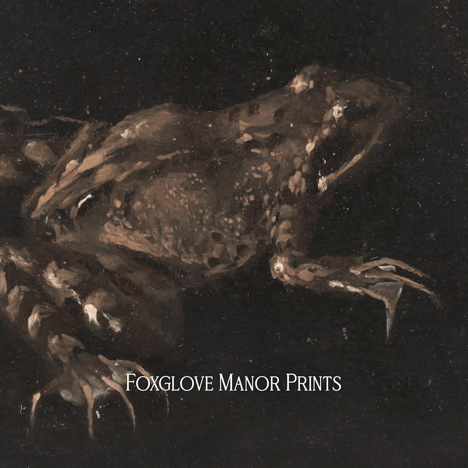Vintage Toad Dark Cottagecore Print, Witchy Wall Art, Printable Dark ...
