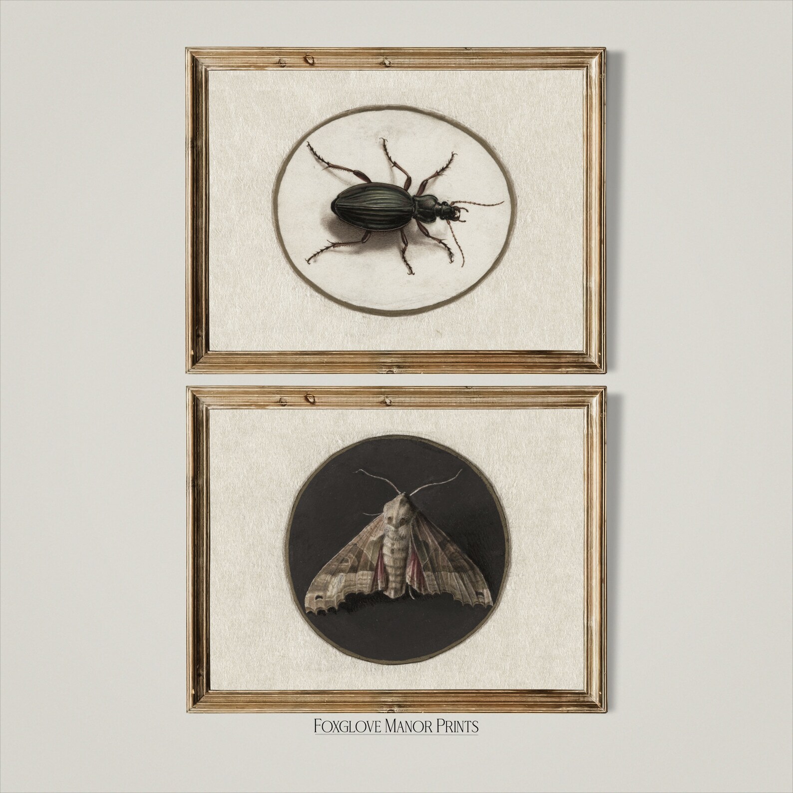 Set of 4 Dark Moody Art Prints Gallery, Dark Academia Wall Art ...
