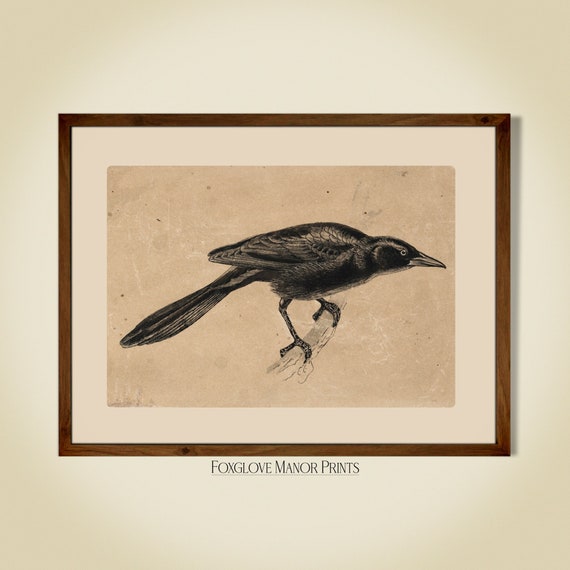 Antique Victorian Crow Print Vintage Witchy Aesthetic Decor - Etsy