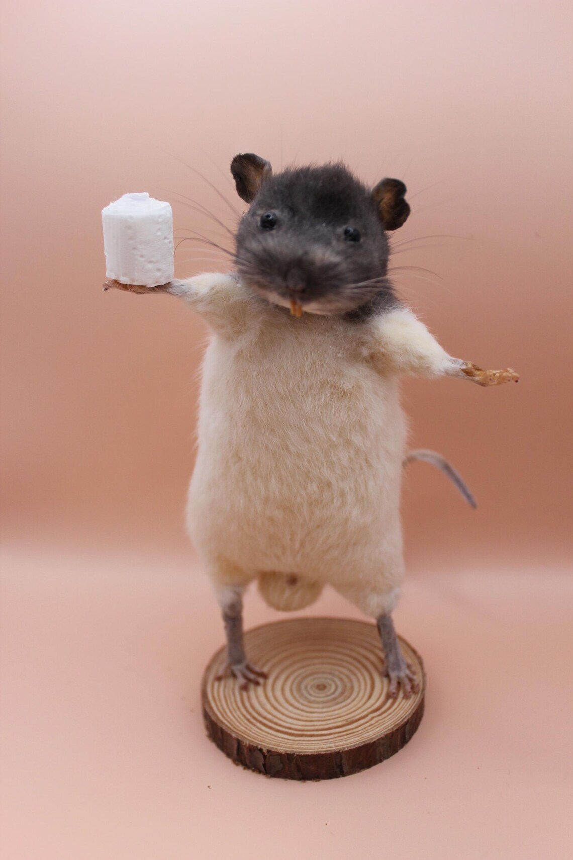 Cute Oddities Curiosity Standing Rat Holding Heads Taxidermy - Etsy
