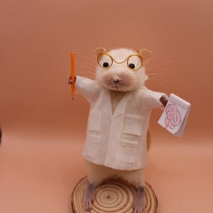 Cute Oddities Taxidermy Curiosity Doctor Rat - Etsy
