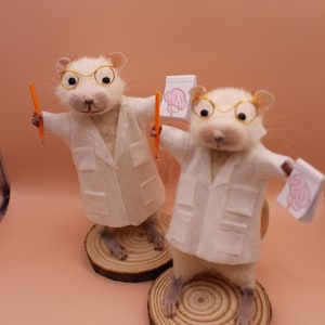 Cute Oddities Taxidermy Curiosity Doctor Rat - Etsy