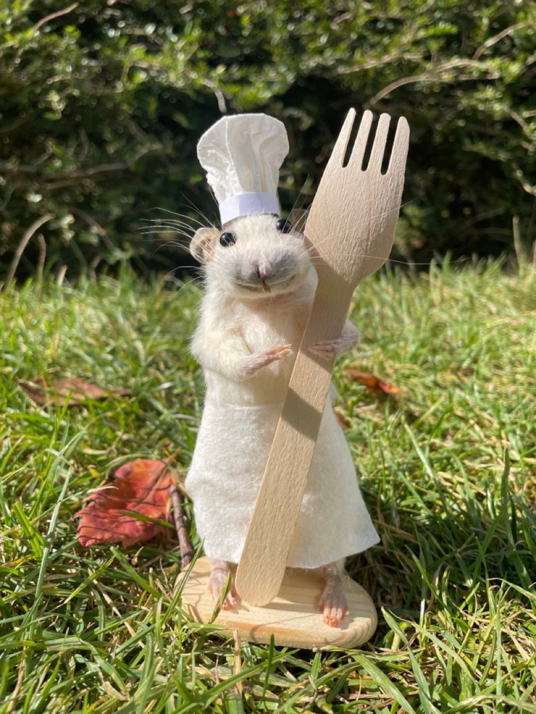 Taxidermy Ratatouille Rat Mouse Curiosity Cute Oddities - Etsy