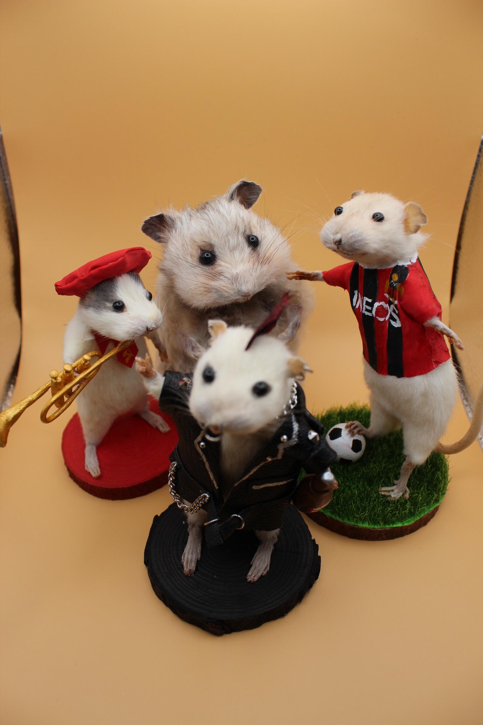 Cute Oddities Curiosity Standing Rat Holding Heads Taxidermy - Etsy