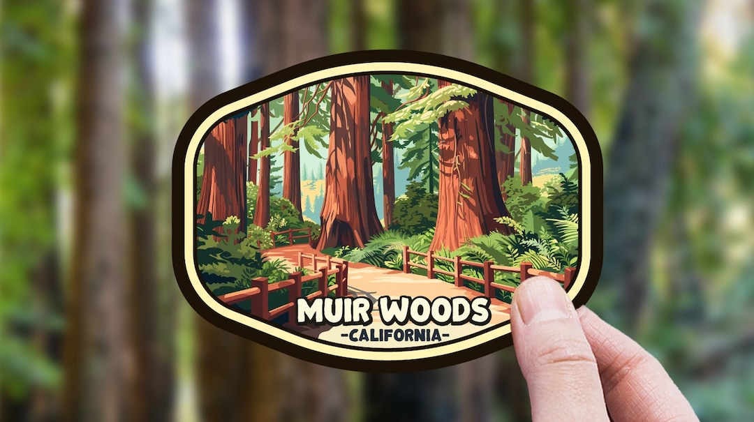Muir Woods Sticker California National Monument Park Travel Souvenir ...