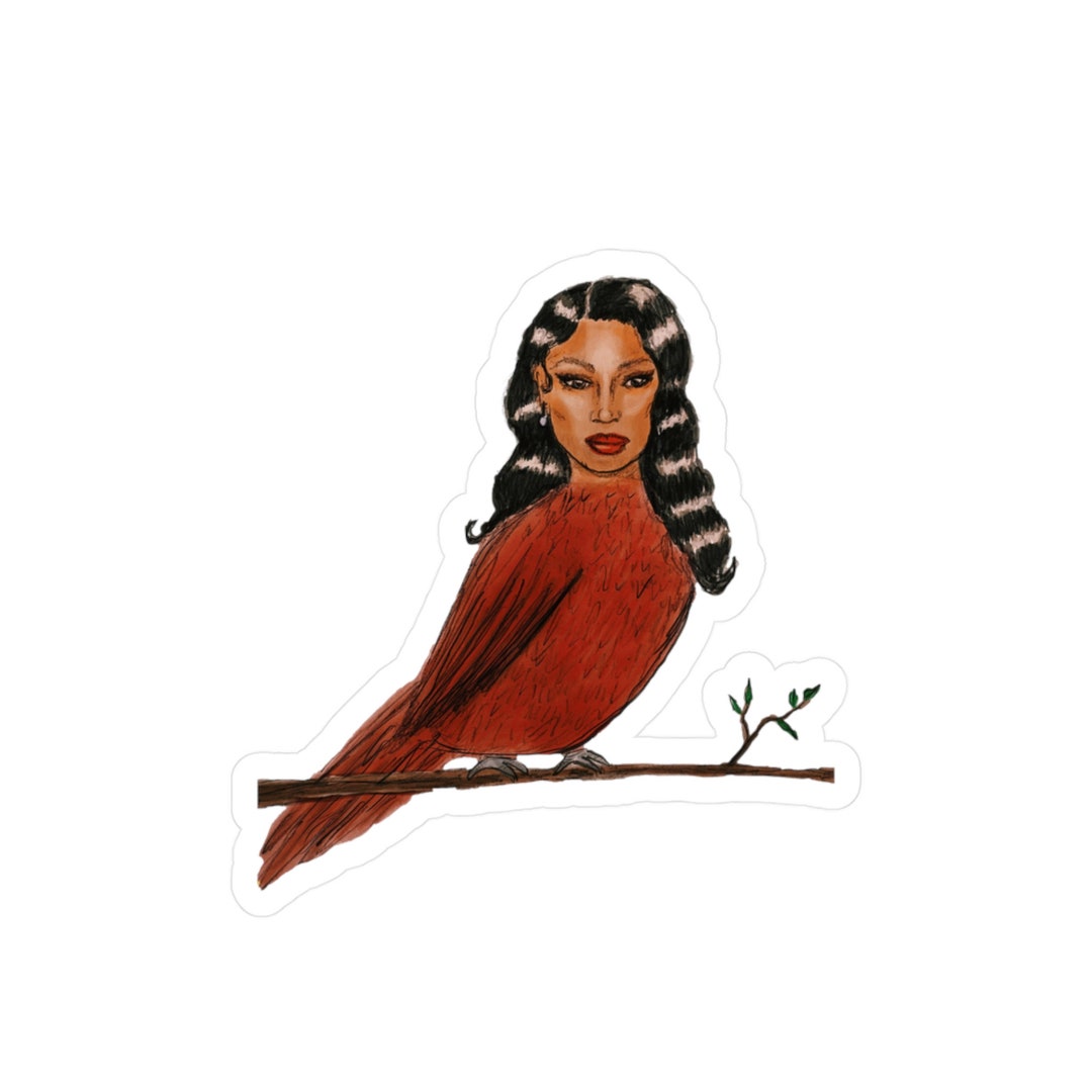 Megan Thee Stallion Vinyl Stickers - Etsy