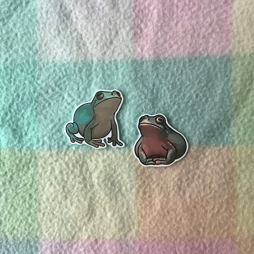 Smug Frog Stickers Frog Sticker Pack Frog Gifts - Etsy