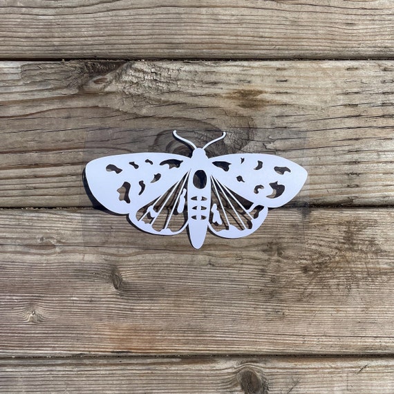 Charming Moth Vinyl Decal - Etsy