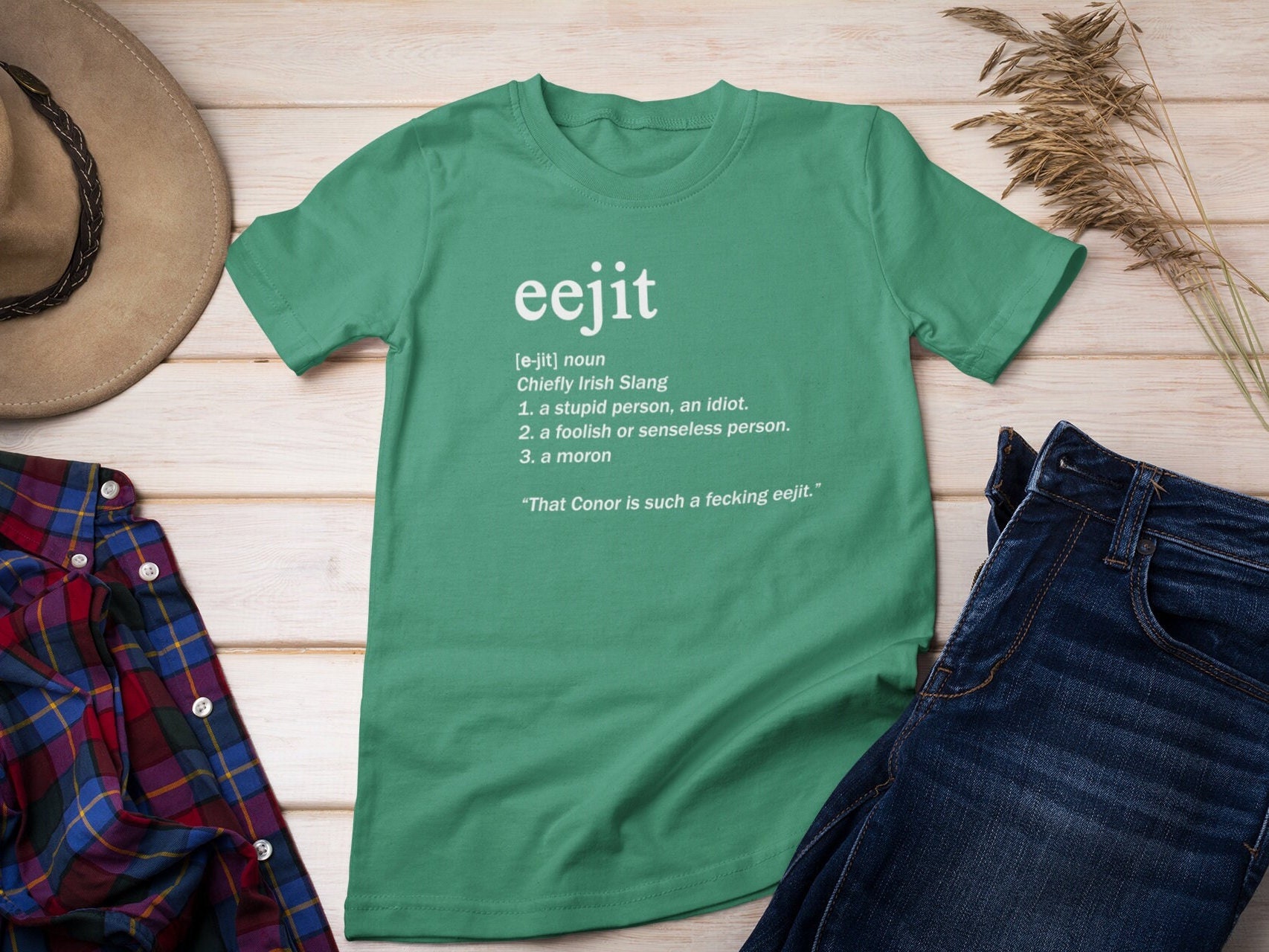 St Patricks Day Shirt, Eejit Definition, Funny St Paddys Tee, Irish ...