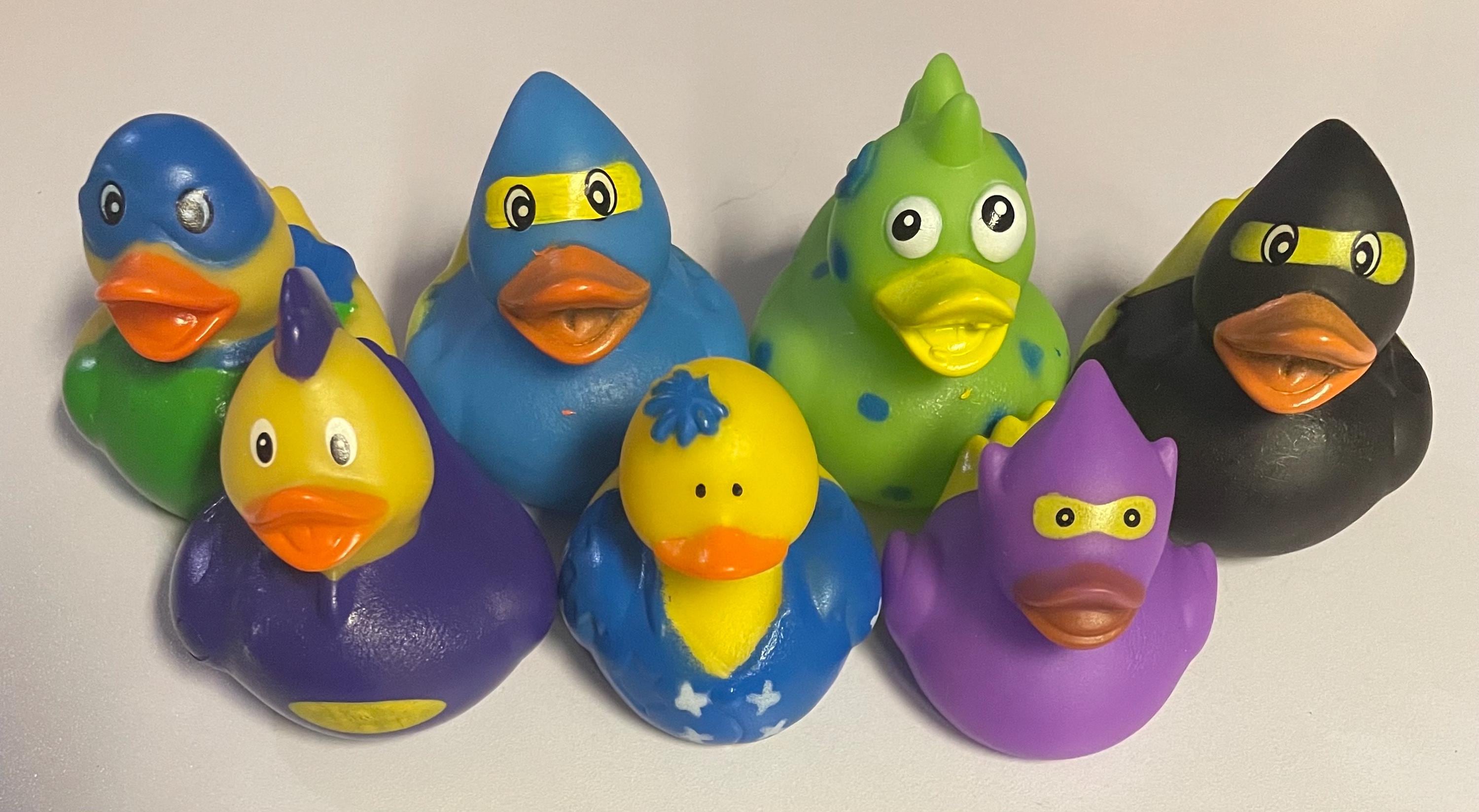 Duck Rubber Ducks Choose Your Duck! - Etsy