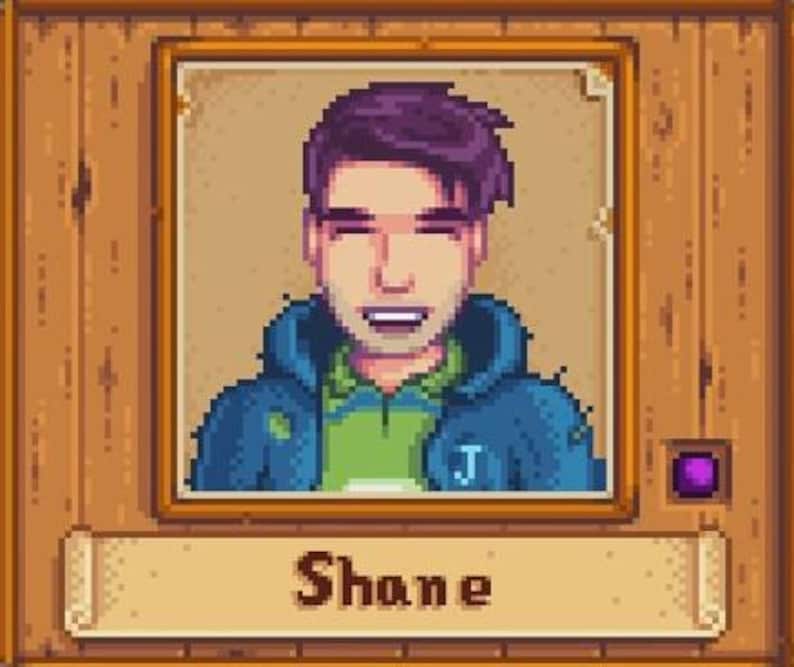 Shane Stardew Valley Kandi Bracelet - Etsy