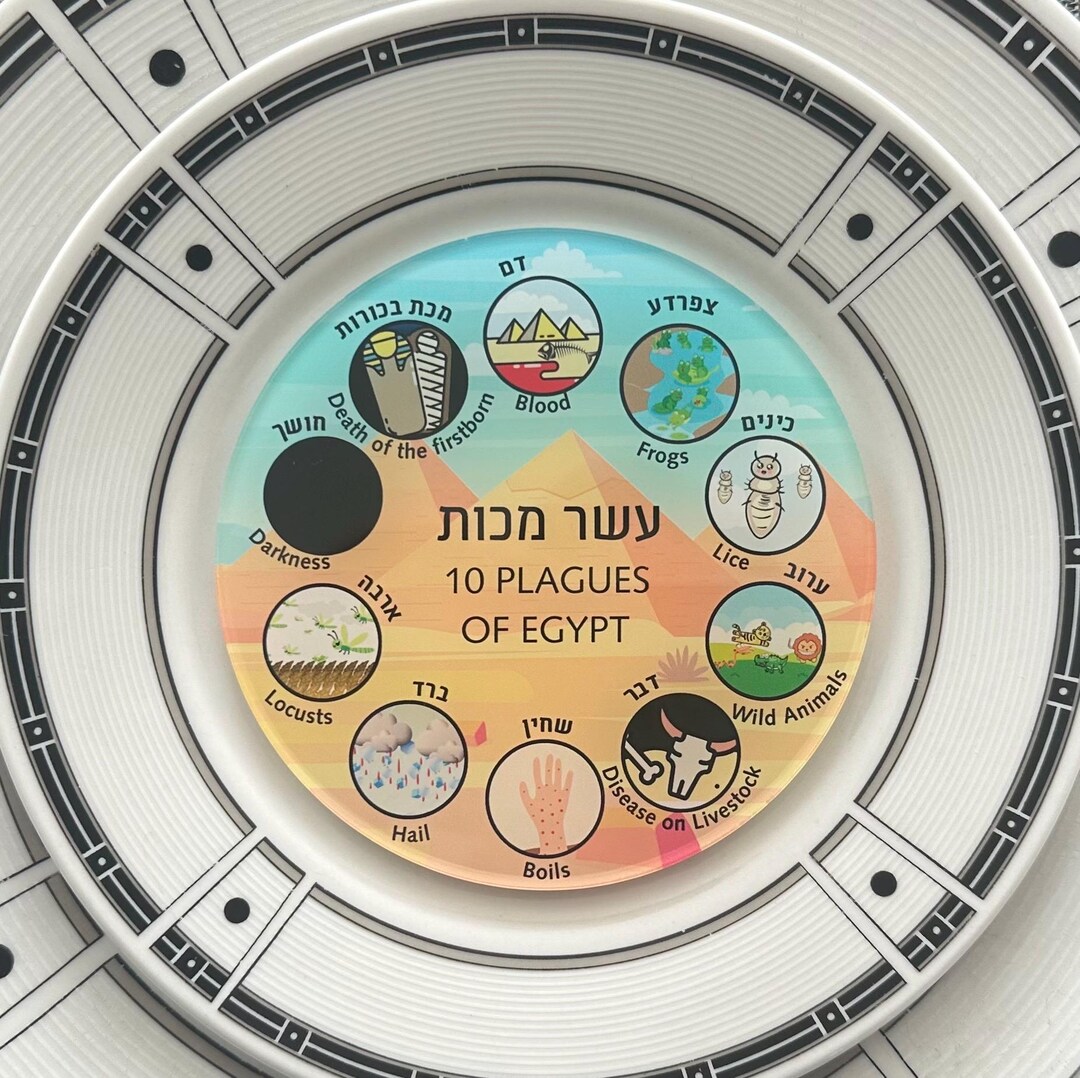 Passover Acrylic Set – Reusable & Beautiful | Ten Plagues Design ...