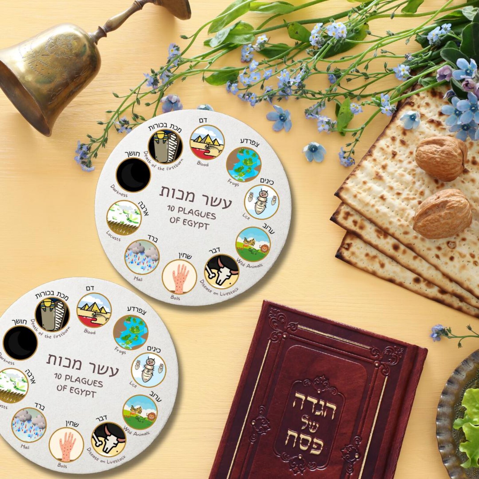 Pesach Seder, Passover Seder, Ten Plagues Coaster, Reusable Seder ...