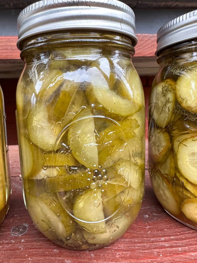 Dill Pickles - Homemade, Hand Cut and Packed With LOVE - Etsy