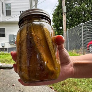 Dill Pickles - Homemade, Hand Cut and Packed With LOVE - Etsy