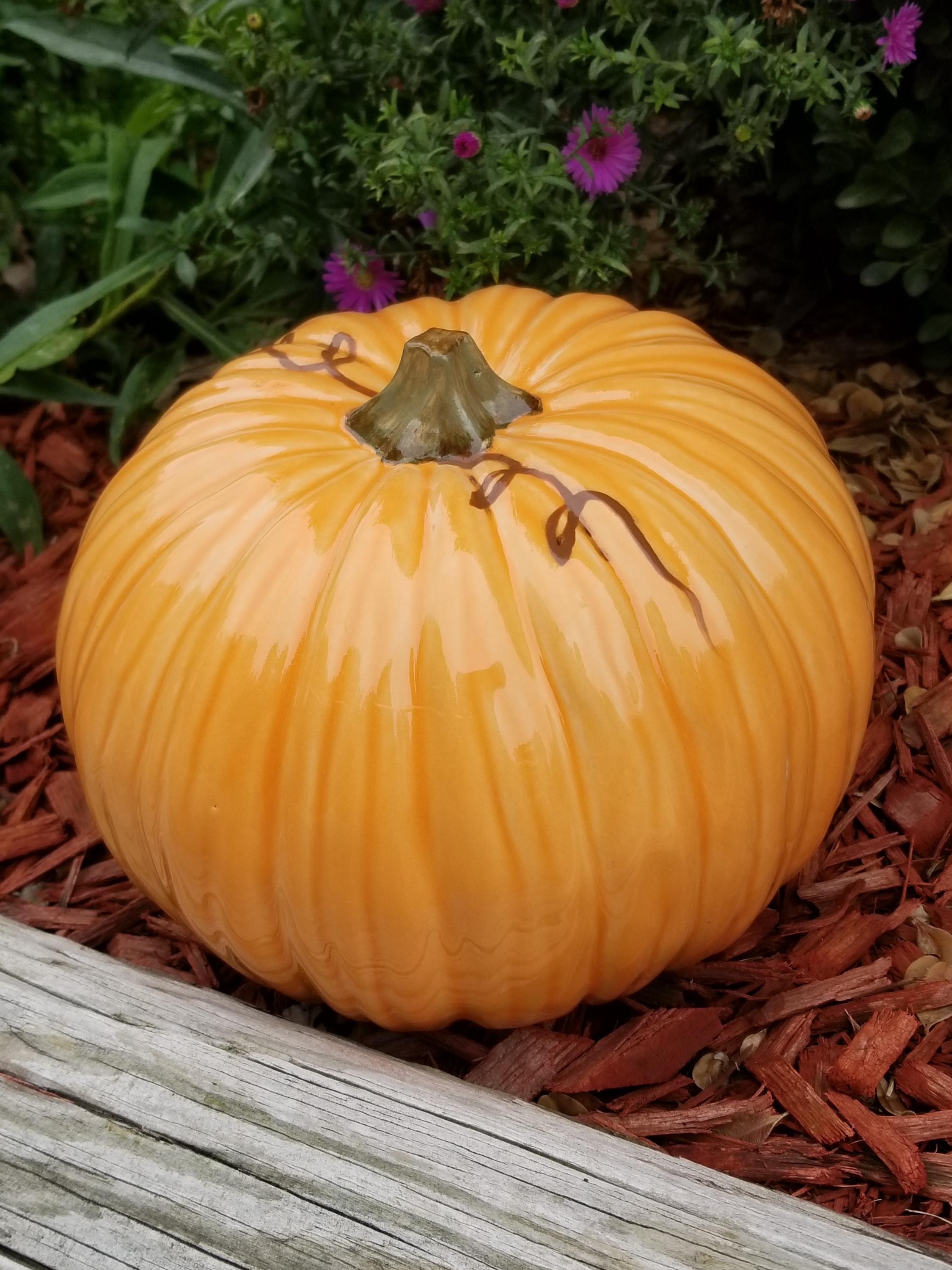 Large Squatty Pumpkin - Etsy
