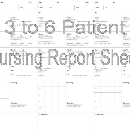 6 Patient Nurse Report Sheet/brain Sheet - Etsy