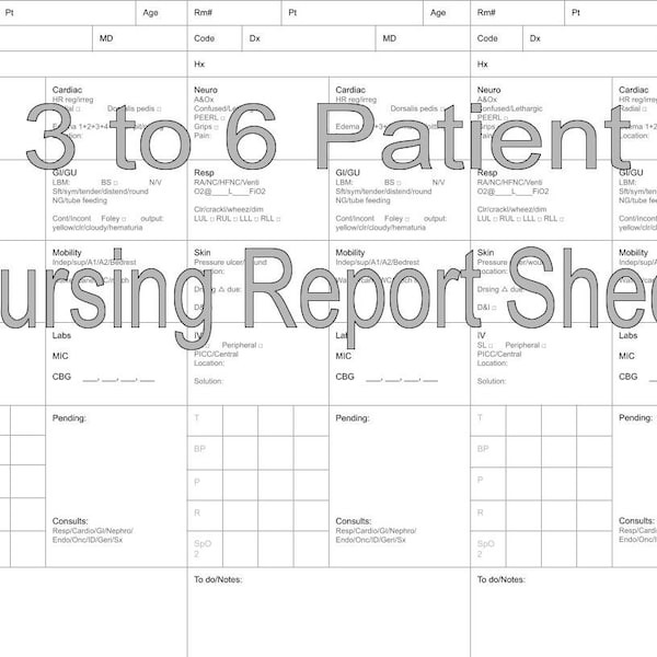 Long Term Care Report Sheet - Etsy