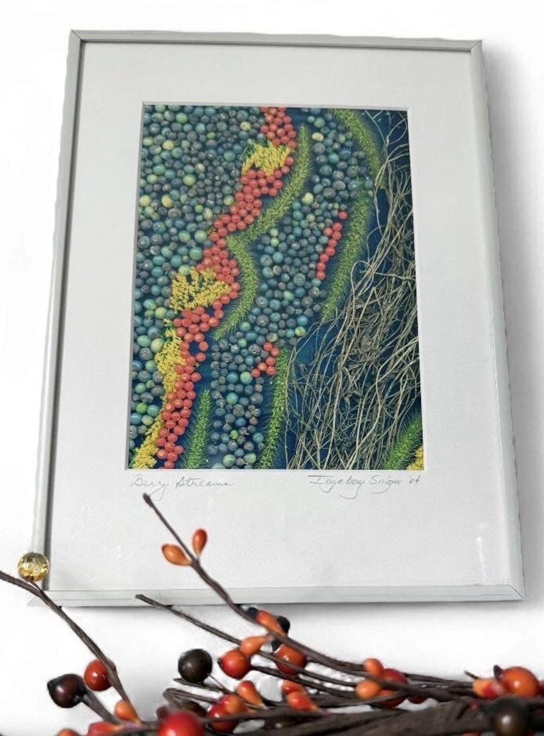 Signed & Framed Berry Photograph 1984 Nature Art: Pennsylvania USA ...