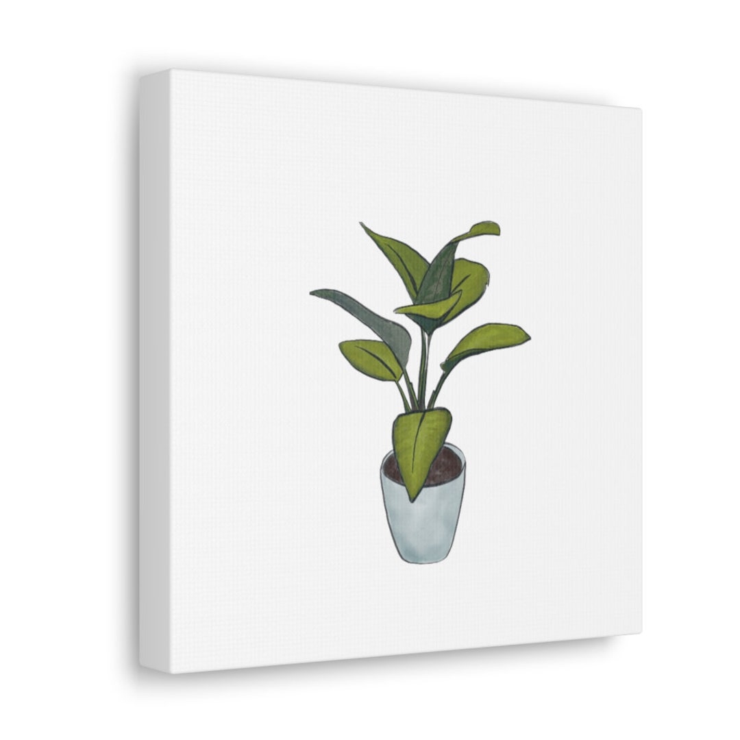House Plant Canvas - Etsy