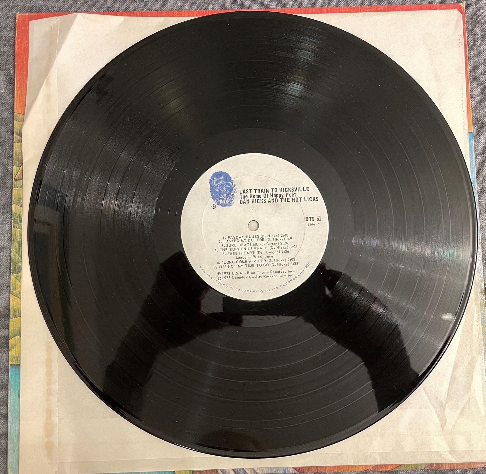 1970s Rare Vinyl Record, Dan Hicks, Folk Music, Blue Thumb Records ...