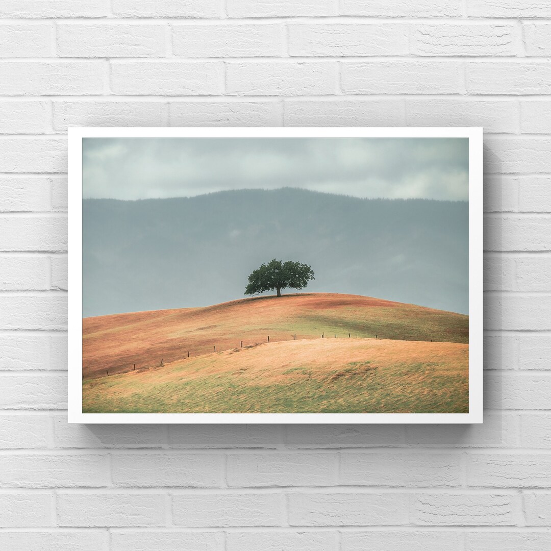 Lone Tree Landscape Photography: California Rolling Hills Art Print - Etsy