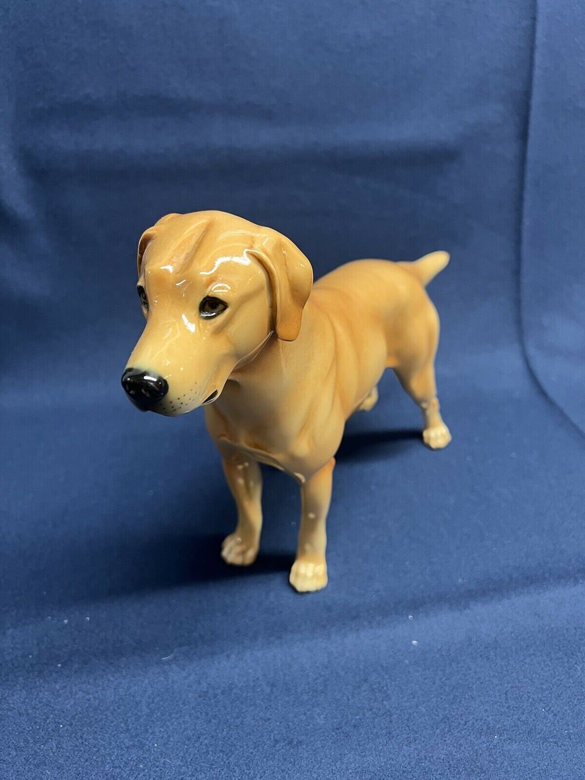 Nymphenburg Porcelain Large Labrador Retriever by Konrad Schmid 1930 ...