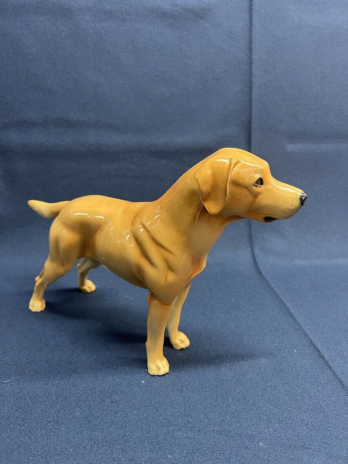 Nymphenburg Porcelain Large Labrador Retriever by Konrad Schmid 1930 ...