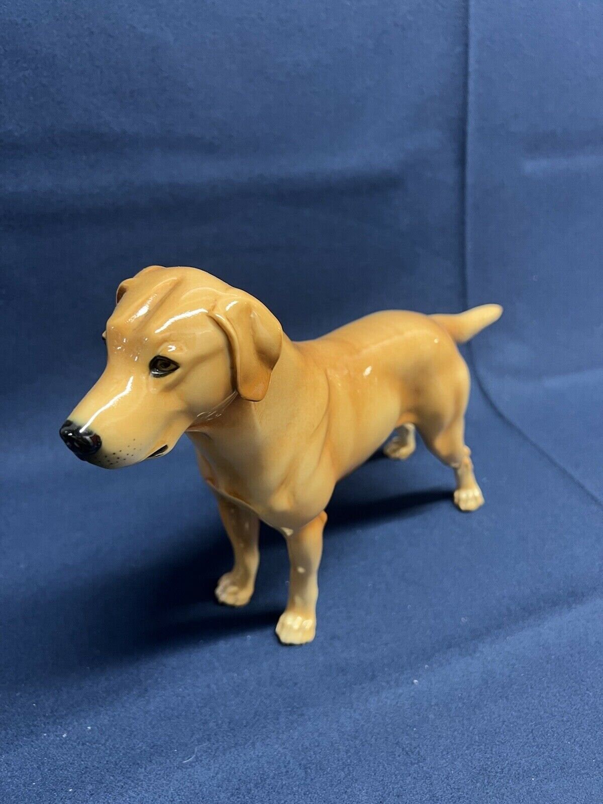 Nymphenburg Porcelain Large Labrador Retriever by Konrad Schmid 1930 ...
