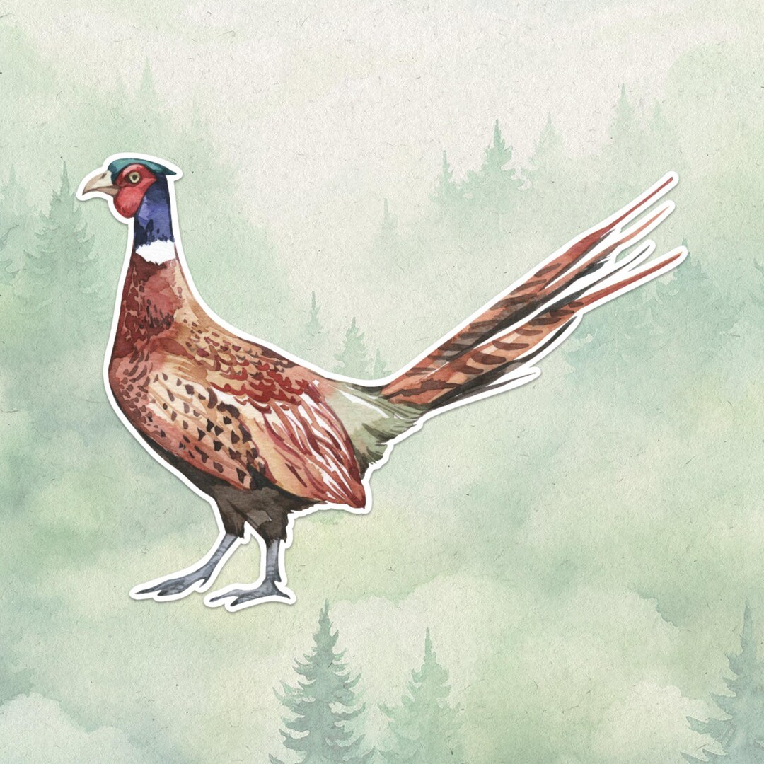 Waterproof Vinyl Pheasant Sticker, Cute Bird Lover Gift, Great Decal ...