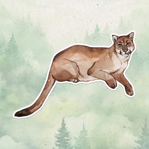 Puma Sticker, Waterproof Vinyl Decal, Animal Lover Gifts - Etsy