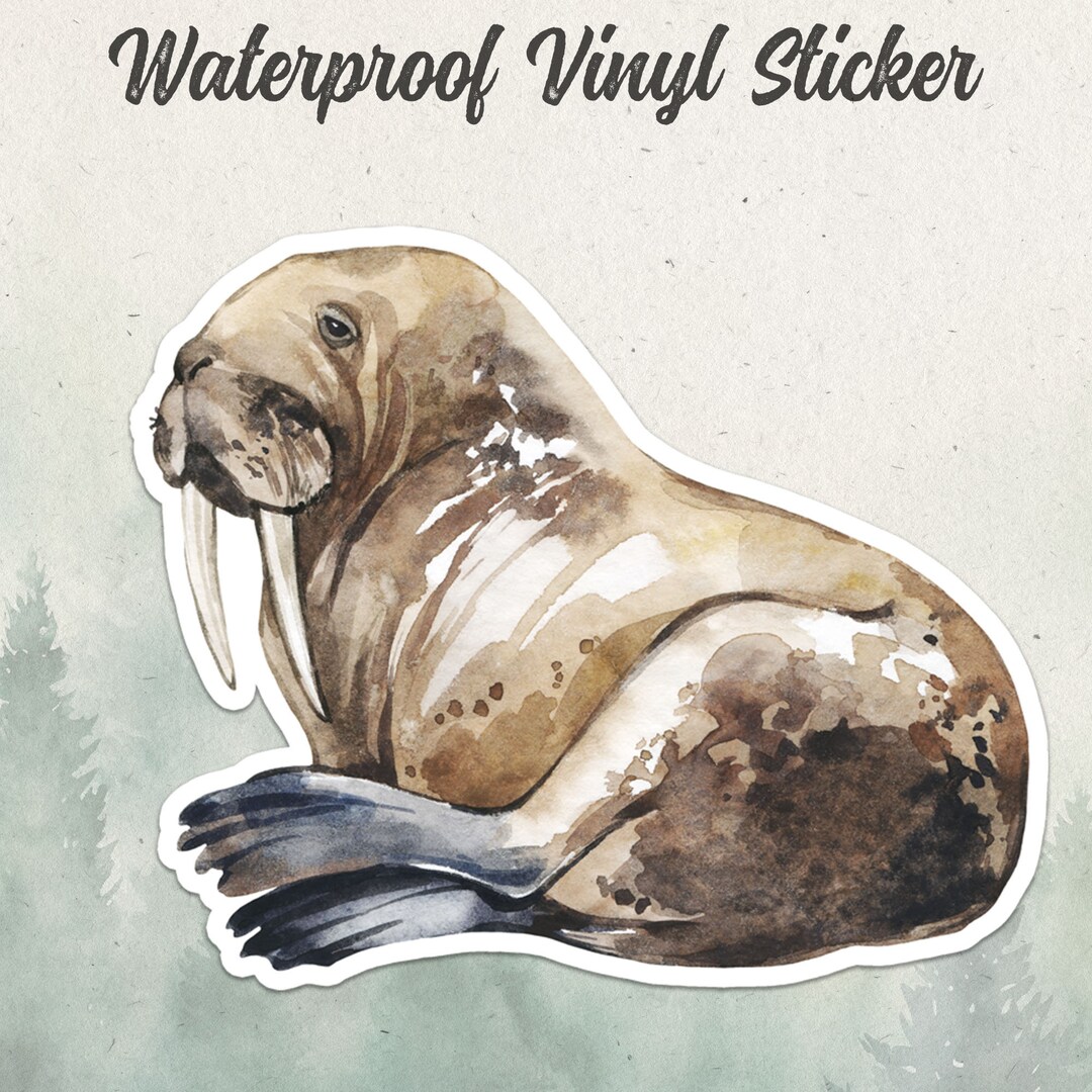 Walrus Sticker Waterproof Vinyl Decal Watercolor - Etsy