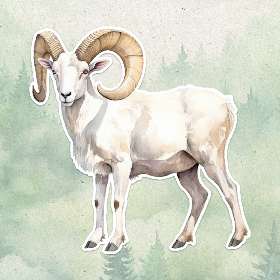 Dall Sheep Sticker, Waterproof Vinyl Decal, Sheep Sticker - Etsy