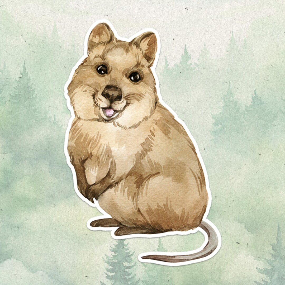 Quokka Sticker, Waterproof Vinyl Decal, Animal Lover Gifts - Etsy