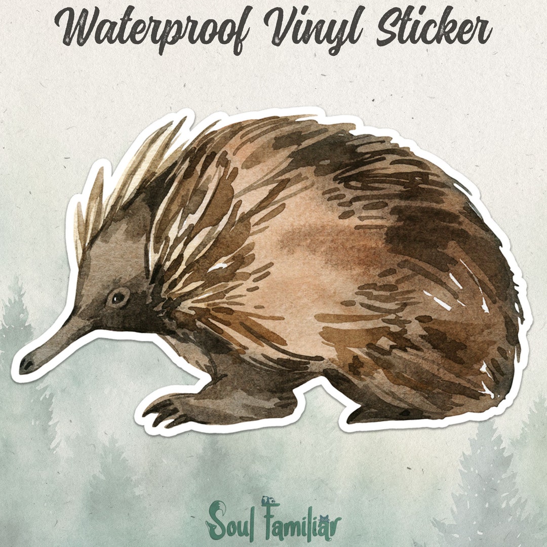 Echidna Sticker Waterproof Vinyl Decal Watercolor - Etsy