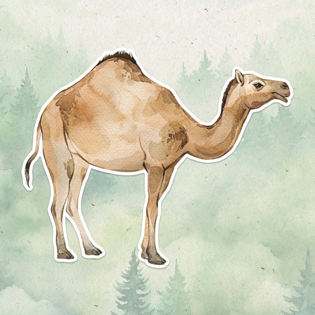 Arabian Camel Sticker, Waterproof Vinyl Decal, Camel Sticker - Etsy