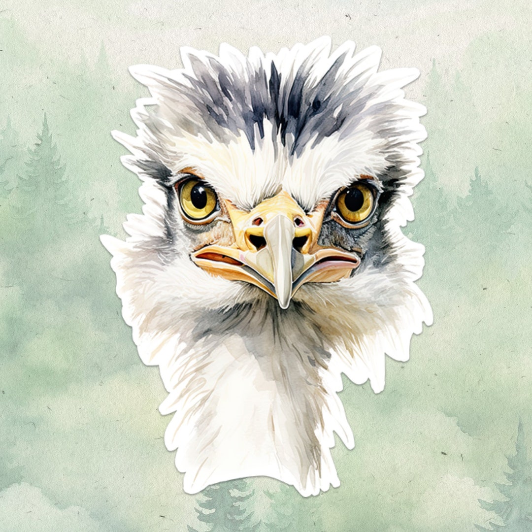 Ostrich Sticker, Waterproof Vinyl Decal, Animal Lover Gifts - Etsy