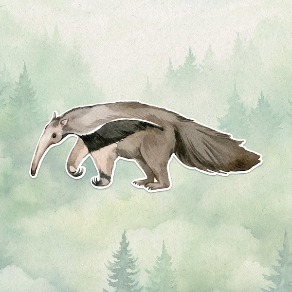 Anteater - Etsy