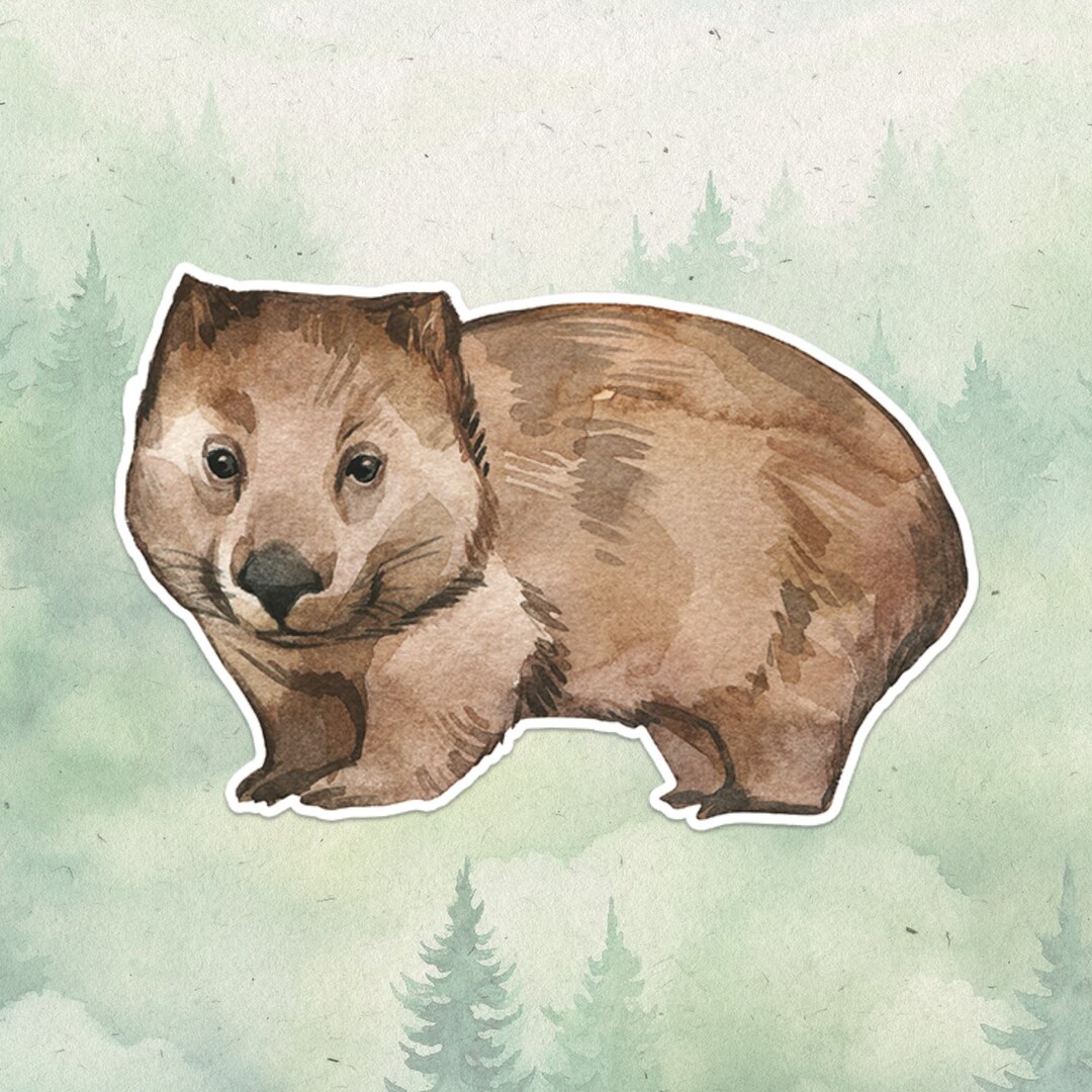 Wombat Sticker, Waterproof Vinyl Decal, Animal Lover Gifts - Etsy