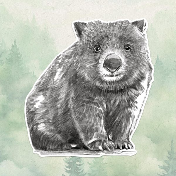 Wombat - Etsy