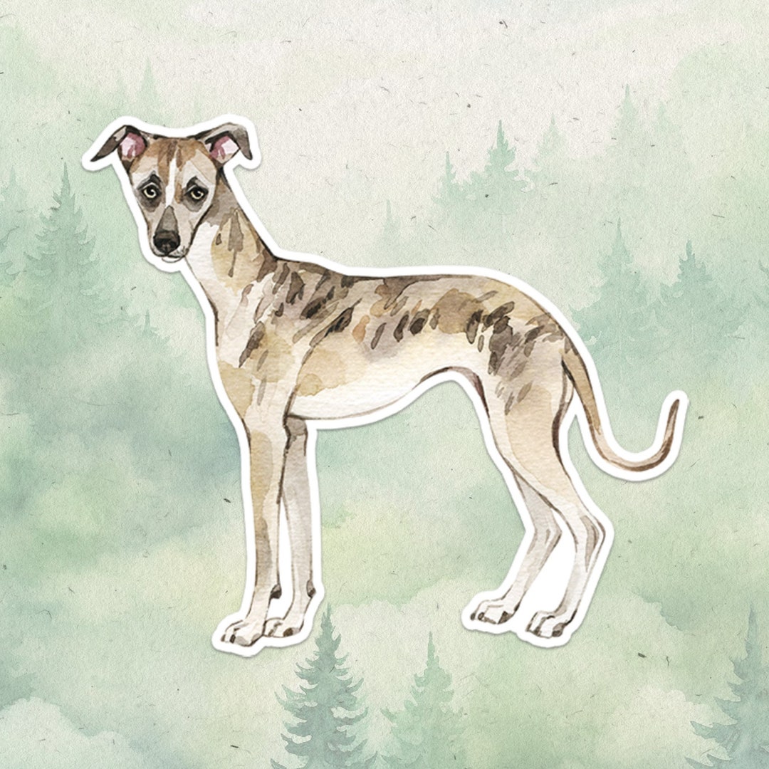 Whippet Sticker, Waterproof Vinyl Decal, Dog Sticker - Etsy