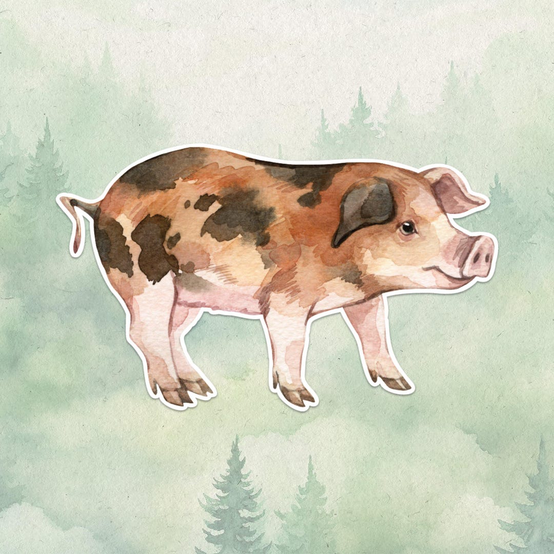 Waterproof Vinyl OSB Pig Sticker, Cute Pet Lover Gift, Great Decal for ...