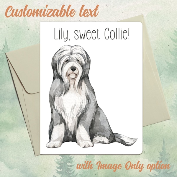 Collie Cards - Etsy
