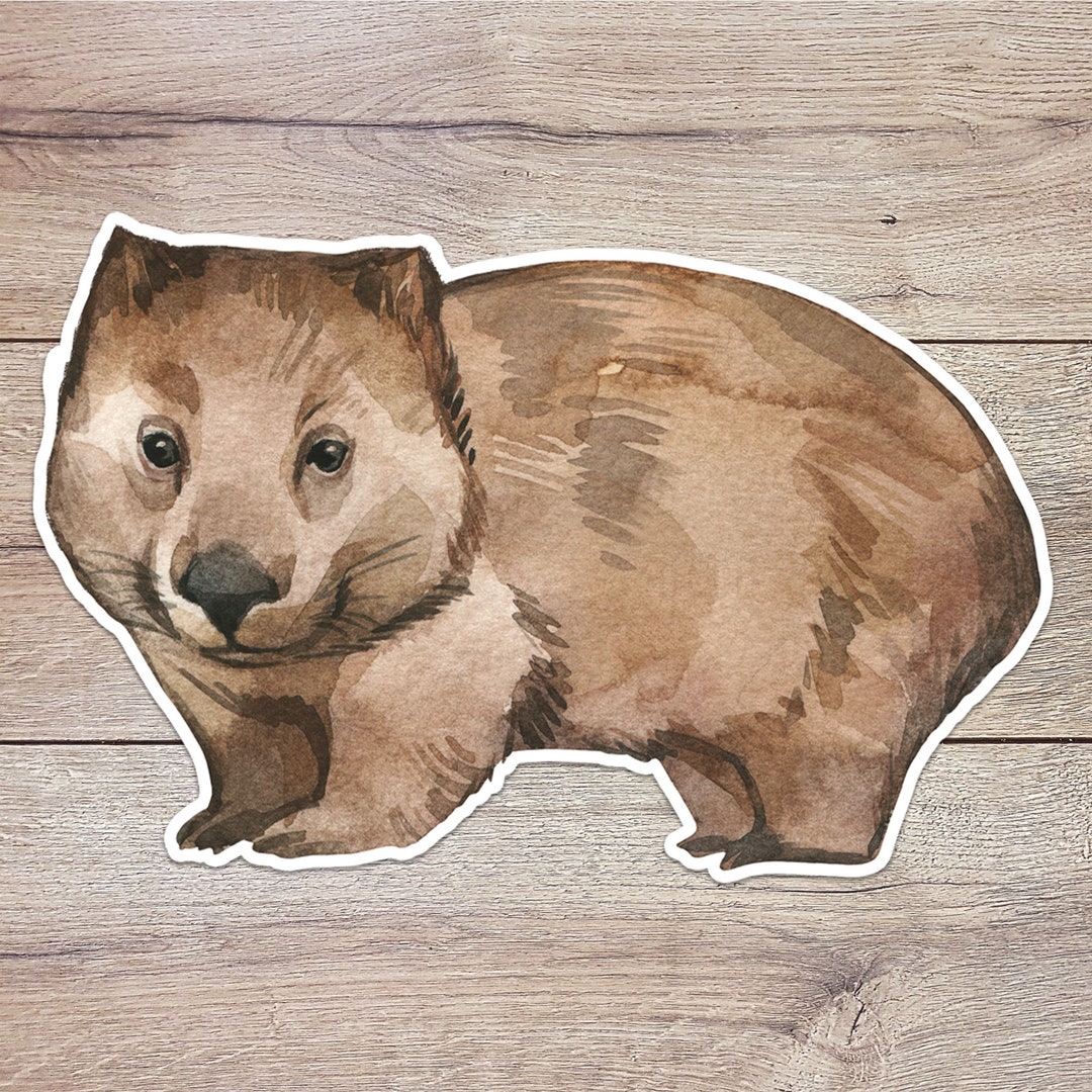 Wombat Sticker Waterproof Vinyl Decal Watercolor Wombat Art - Etsy