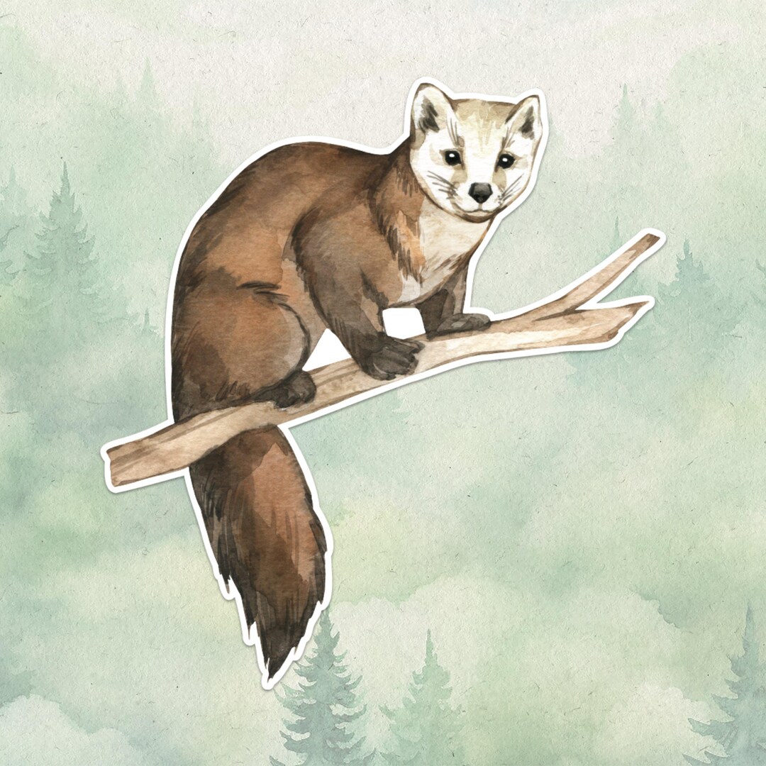 Waterproof Vinyl Marten Sticker, Cute Animal Lover Gift, Great Decal ...