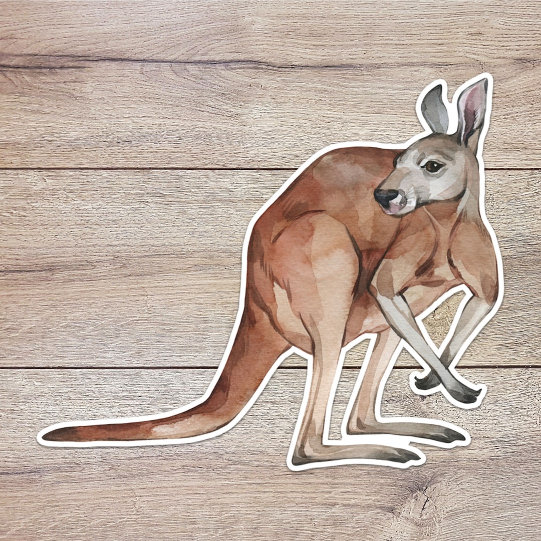 Kangaroo Sticker Waterproof Vinyl Decal Watercolor Kangaroo - Etsy