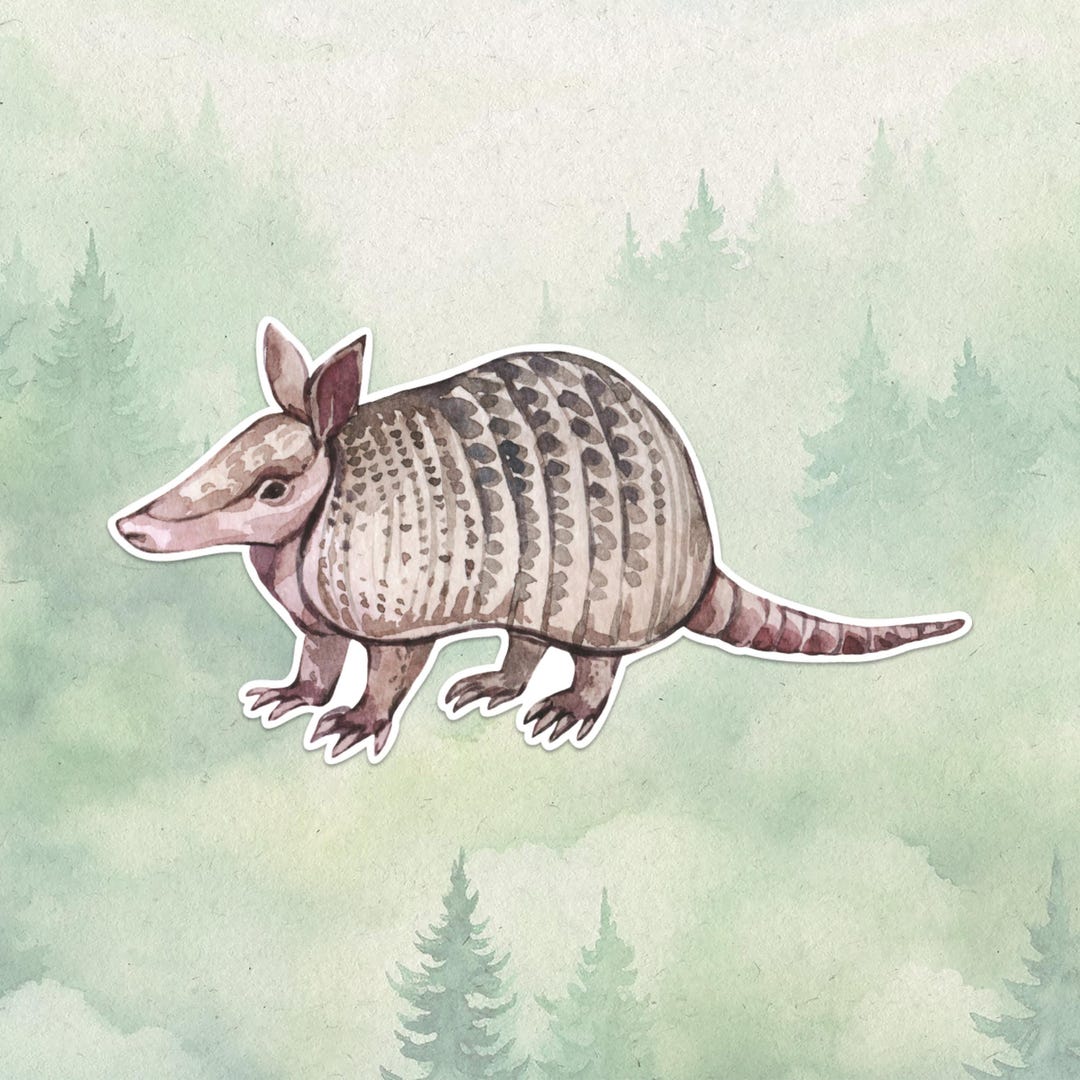 Waterproof Vinyl Armadillo Sticker, Cute Animal Lover Gift, Great Decal ...