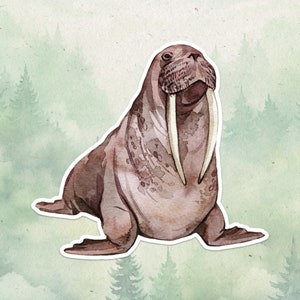Walrus - Etsy