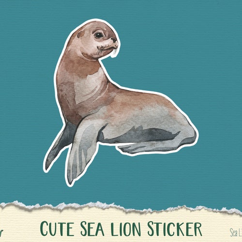 Sea Lion Sticker - Etsy