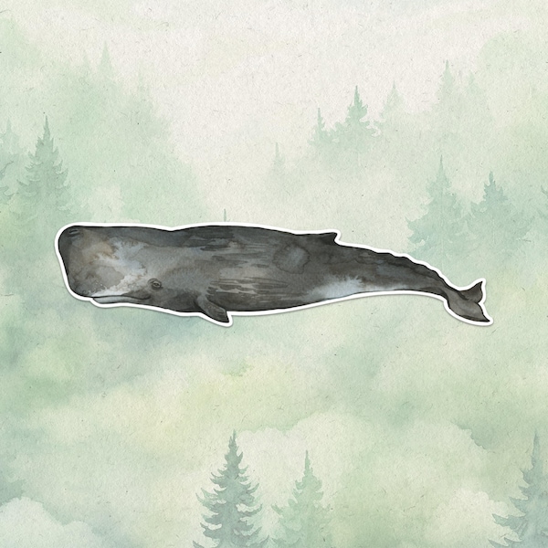 Sperm Whale Stickers - Etsy